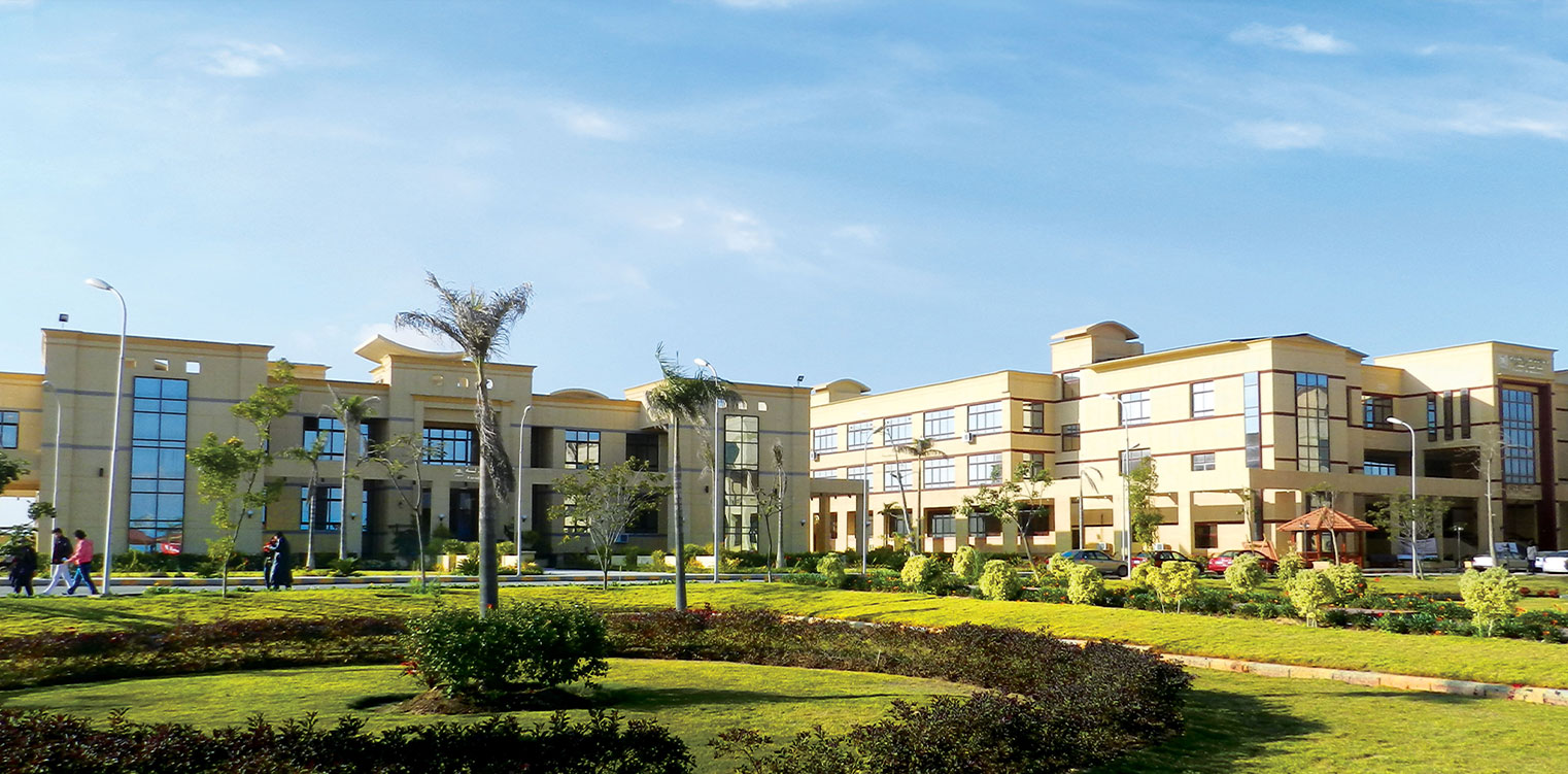 Delta University For Science And Technology