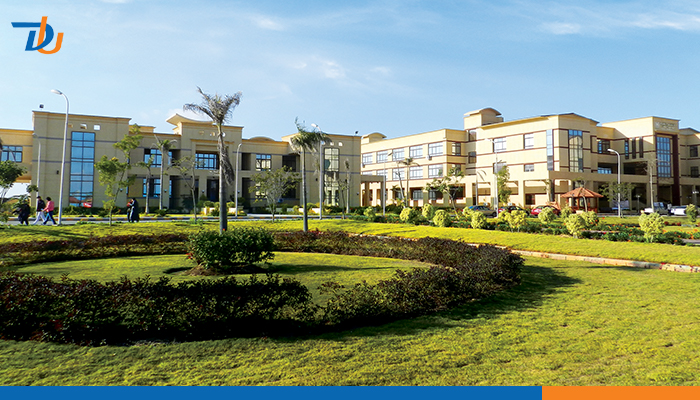 Delta University For Science And Technology